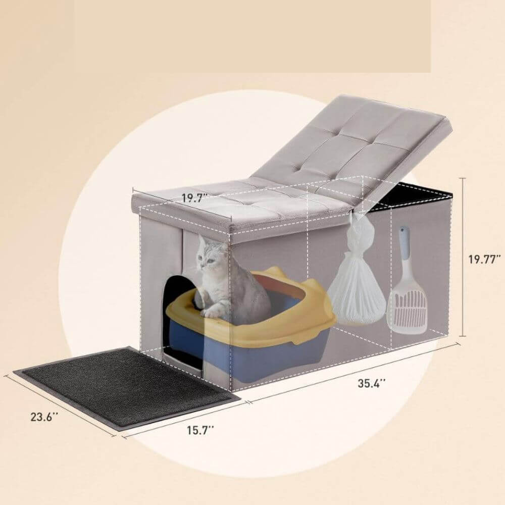 Why Cats Need Privacy When Using the Litter Box – MeexPaws