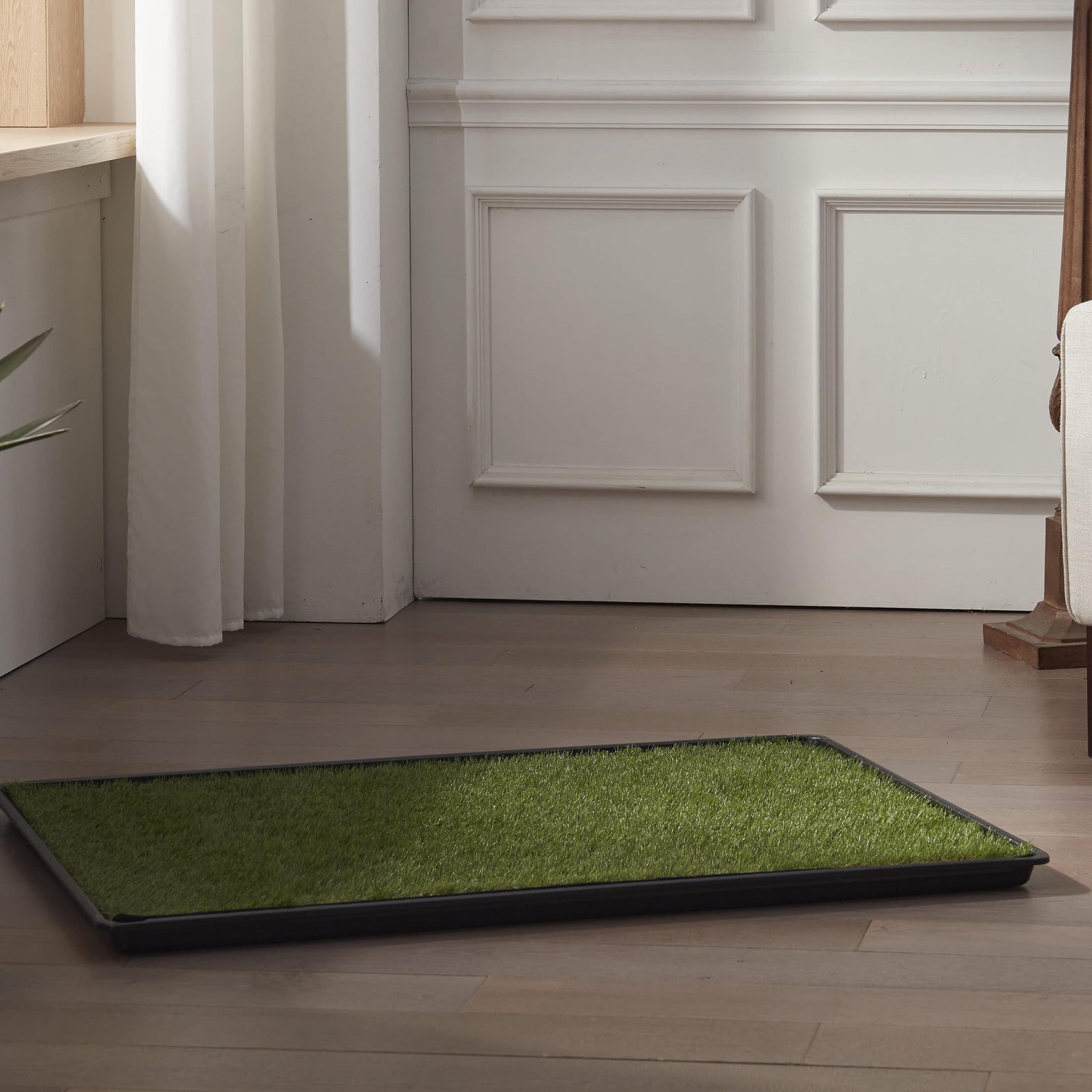 Premium Dog Turf - Ultimate Comfort and Durability for Your Furry ...